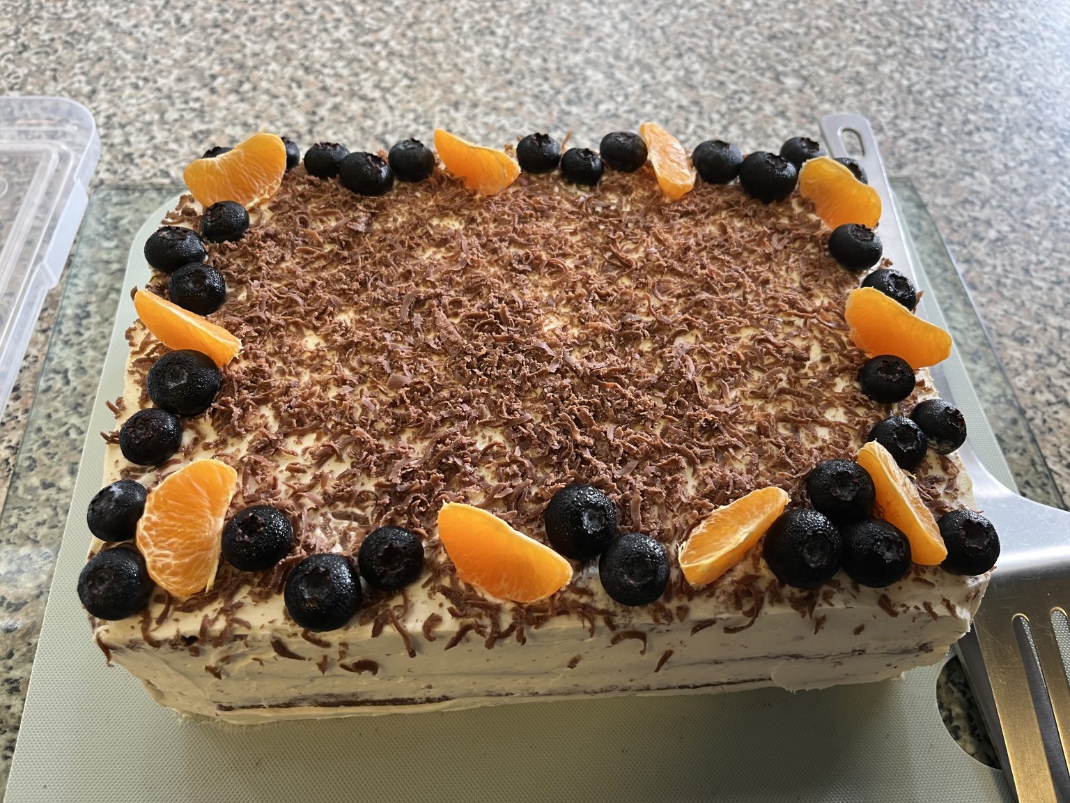 Opal Services – Older People Active Lives